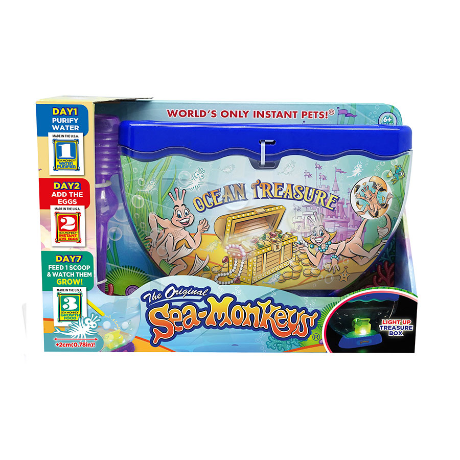 Cofre Del Tesoro De La Vida Real